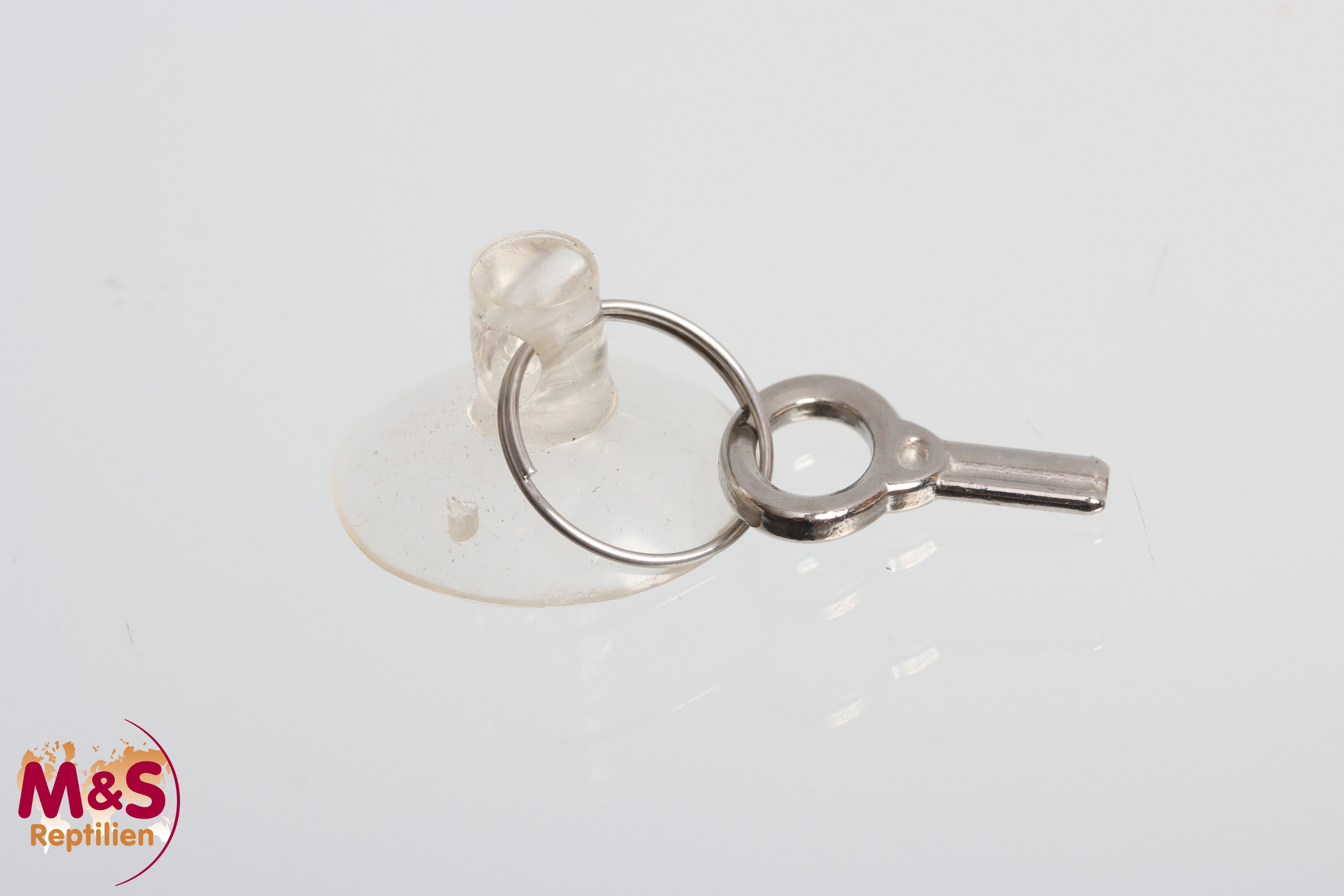 ReptiZoo Ersatzschlüssel für Reptizoo Glasterrarien | ttrzs4 | M&S Reptilien