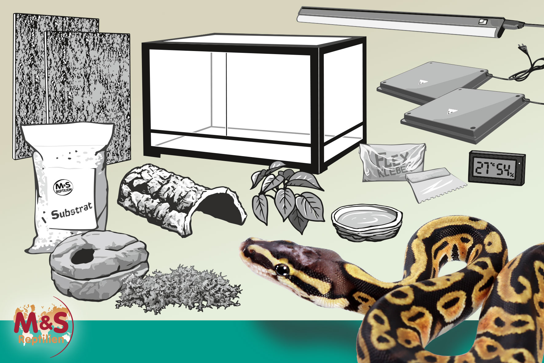 Komplettset für Königspythons (100x50x50) | M&S Reptilien