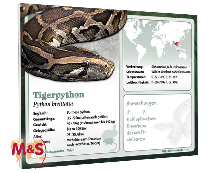 Terrarienschild (Zooschild) Tigerpython, Python bivittatus | Frisch eingetroffen! | M&S ...