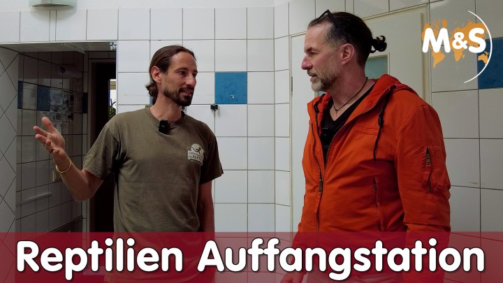 Auffangstation München | Reptil TV | Blog / Reptil TV | Service | M&S Reptilien - Der ...
