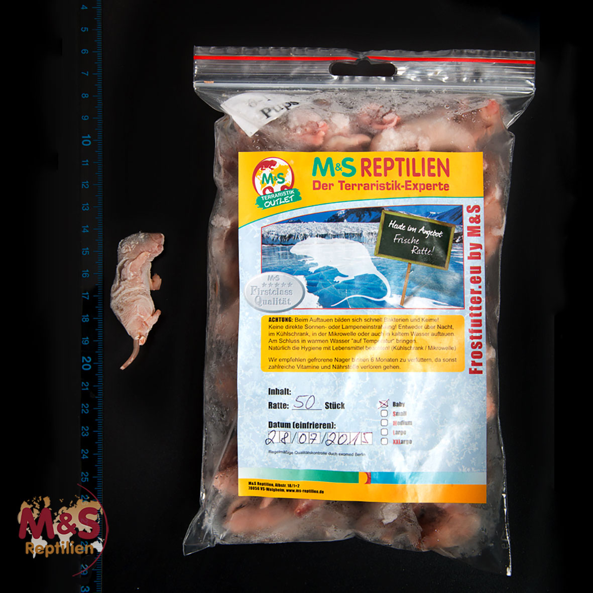 baby rat, frozen, 6-12g | Frozen food | Food | M&S Reptiles - The ...