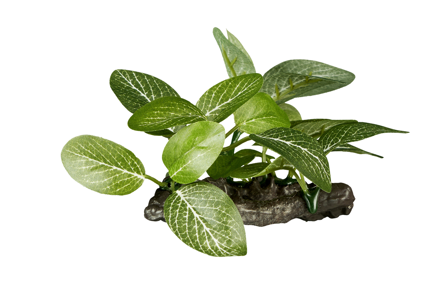 ReptiZoo Kunststoffpflanze (Helenia elliptica) ca. 9 cm TP072 | Plants | Terrarium facility ...