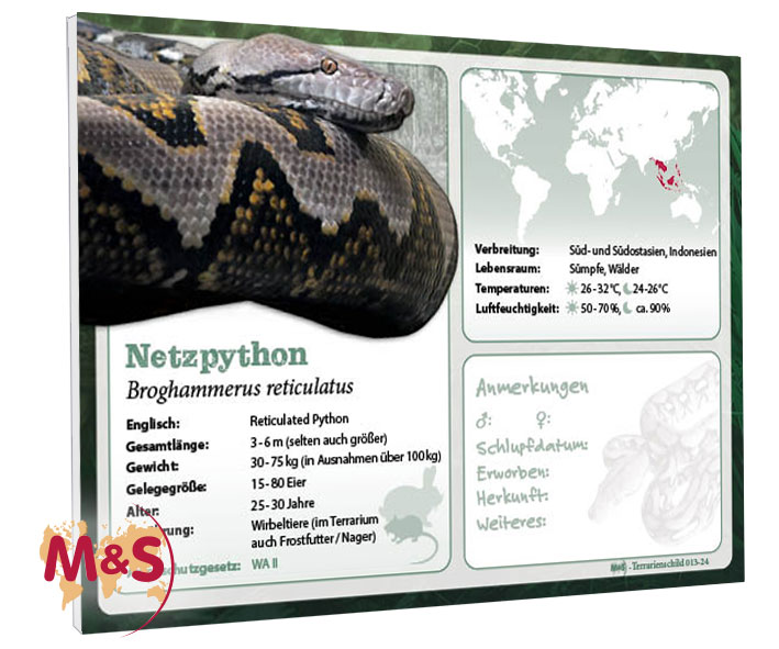 Terrarienschild (Zooschild) Netzpython, Broghammerus reticulatus | Do ...