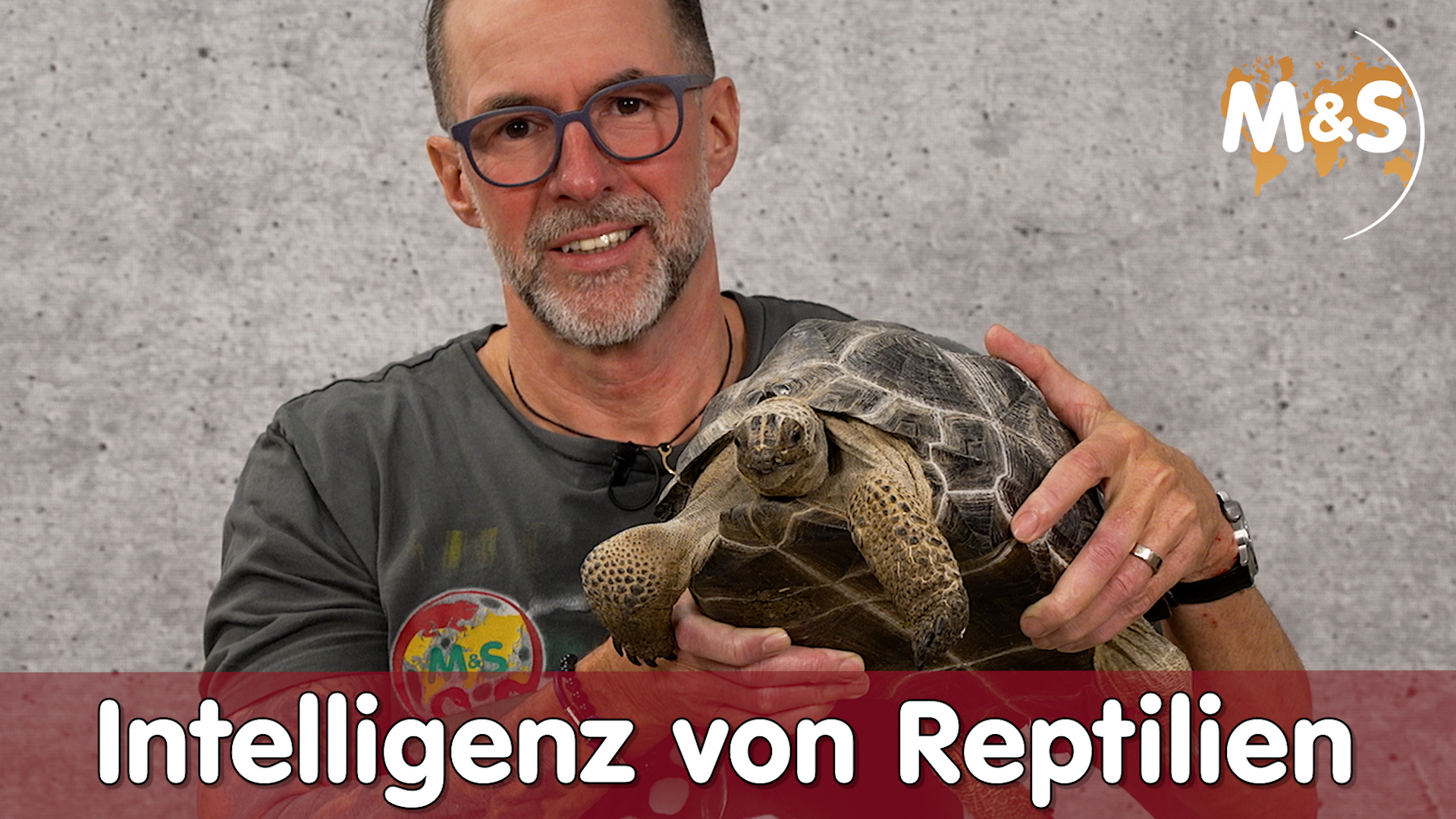 Intelligenz von Reptilien | schlauer als gedacht? | Blog / Reptil TV | Service | M&S Reptilien ...