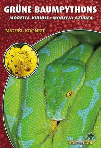 Der Grüne Baumpython - Morelia viridis, Morelia azurea (Michel Kroneis ...