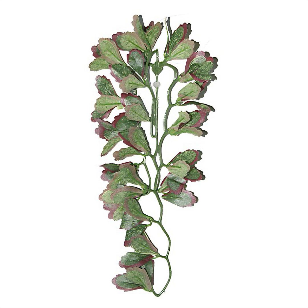 Künstliche Ranke "Var. marginatum" als Terrarium-Dekoration | ReptiZoo | M&S Reptilien