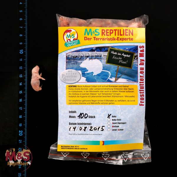 baby mouse, frozen, 1-2g | ffmb